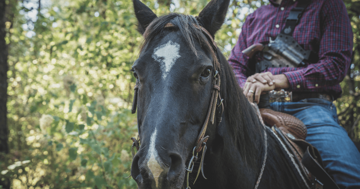 A Guide to Hunting on Horseback | GunfightersINC